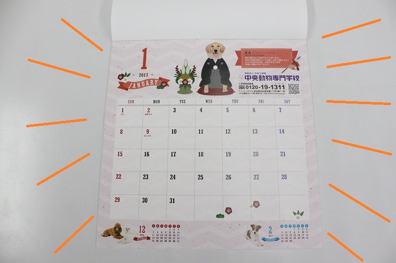 Chuo Animal College カレンダー | 中央動物専門学校BLOG